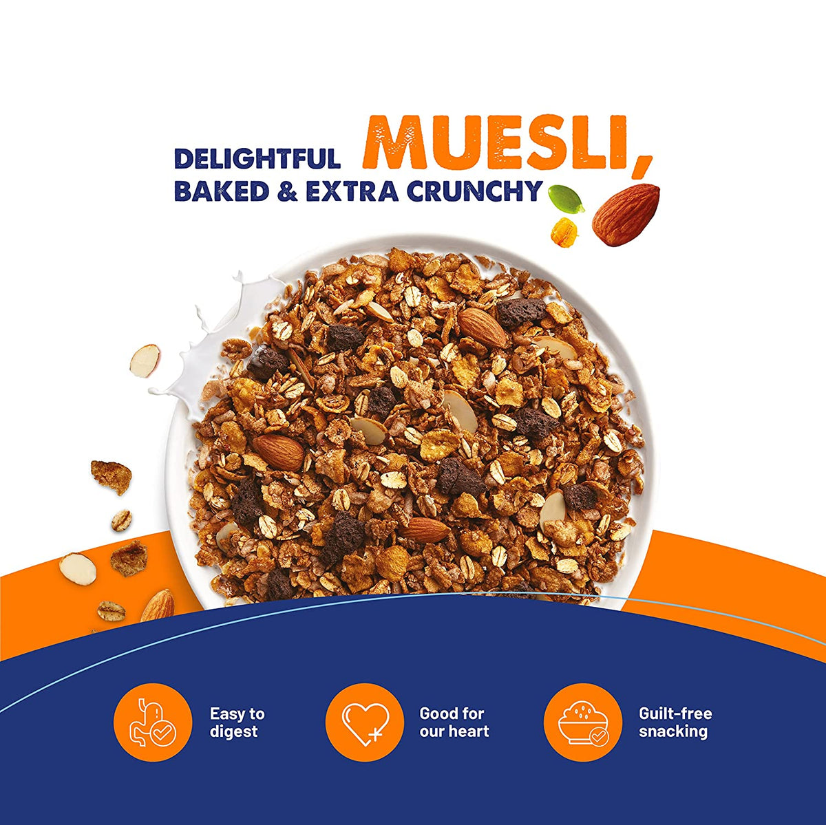 Choco Almond Cookie Delights Muesli – Fit & Flex