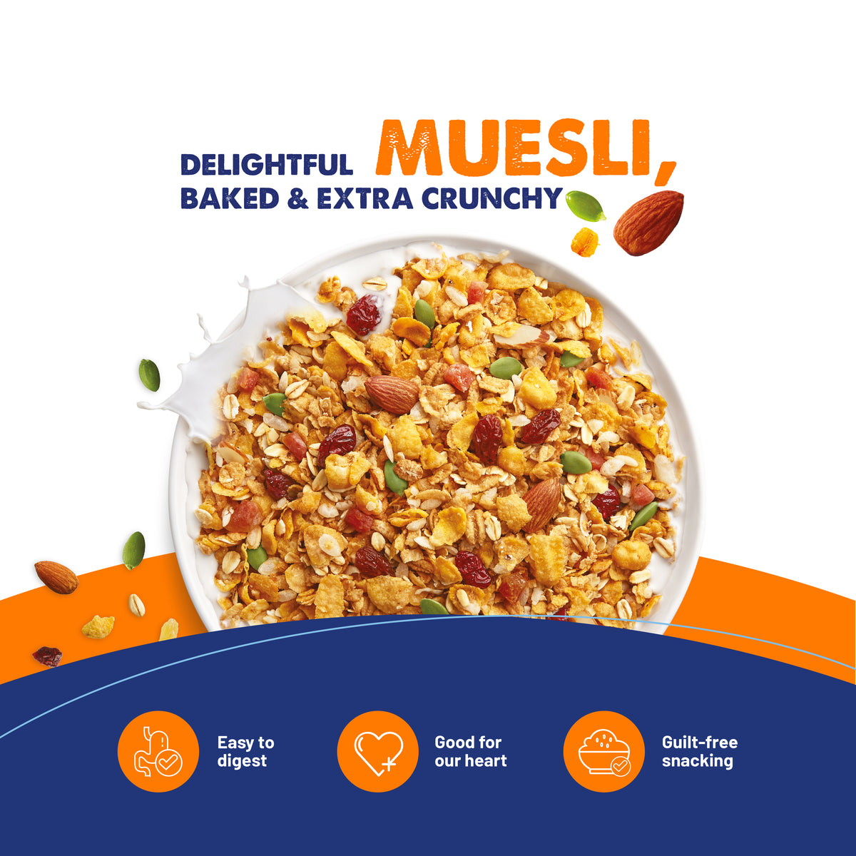 FRUITY CRUNCH Healthy Fruit Muesli – NIVA NUTRIFOODS LLP